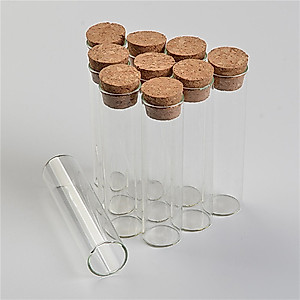 22120mm 30ml Empty Glass Transparent Clear Bottles with Cork Stopper Glass Vials Jars Storage Bottles Test Tube Jars 24pcs (24, 30ml)