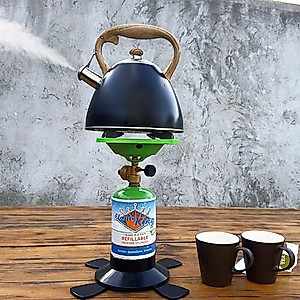 Flame King Refillable 1LB Empty Propane Cylinder Tank - Reusable - Safe and Legal Refill Option - DOT Compliant - 16.4 oz, Green