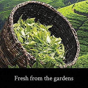 Teamonk Hozo High Mountain Orange Pekoe Black Tea Loose Leaf (75 Cups) - 5.3 oz Bag | Boosts Energy | Antioxidant Properties | Boosts Heart Health and Helps reduce Blood pressure