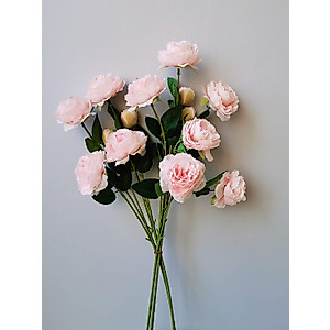 Artfen 5 Pcs Artificial Silk European Rose Flower Peony Flower Long Stem Fake Plastic Flowers Home Garden Party Wedding Decoration DIY Wreath Approx 26'' High Champagne Pink