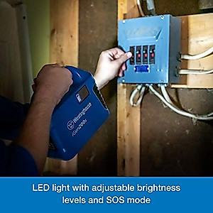 Westinghouse 194Wh 300 Peak Watt Portable Power Station and Solar Generator, Pure Sine Wave AC Outlet, Backup Lithium Battery for Camping, Home, Travel, Indoor/Outdoor Use (Solar Panel Not Included)