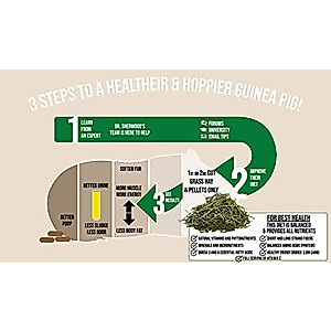 Sherwood Pet Health Baby Guinea Pig Food -4.5 lb.