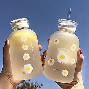 JZSMY 480ml Milk Juice Cute Water Bottle with Scale 2 Lids Little daisy Matte Portable Transparent Water Cup Glass Bottles Creative Handy Cup (1Pcs Six Flowers)