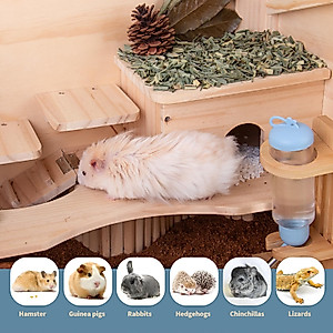 Wooden Hamster Cage and Hideout (23.6" L x 15.7" W x 15.7" H) for Small Animal, Syrian Hamster, Guinea Pig, Gerbil, 2-Tiers with Shelf and Ladder, Waterproof Pull-Out Tray, Natural Wood