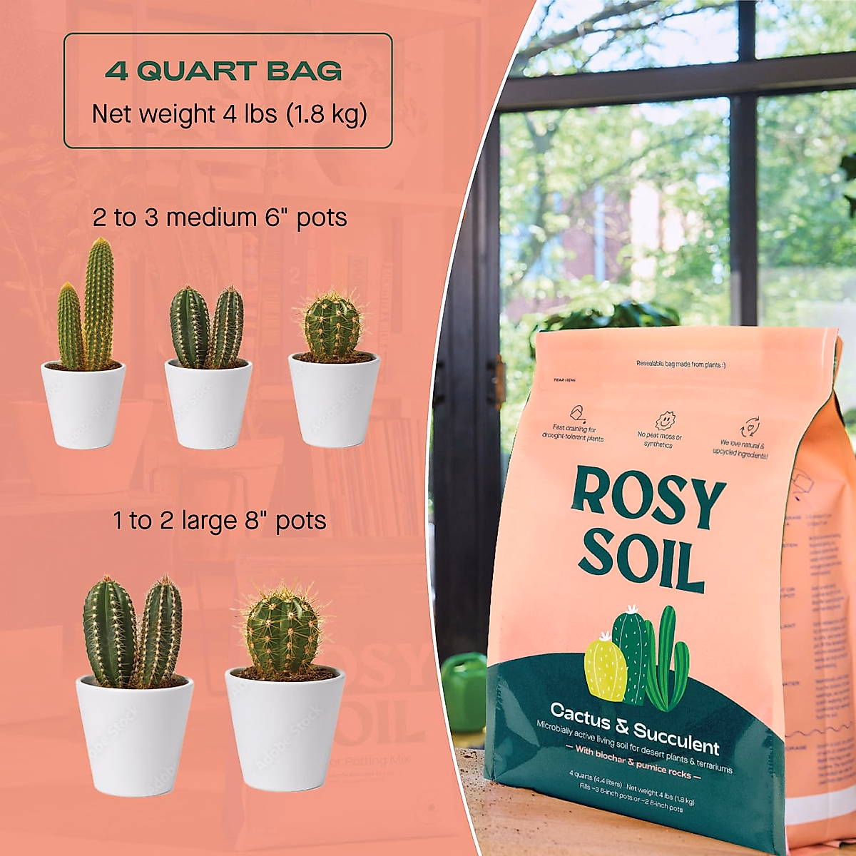 Cactus and Succulent Organic Potting Soil Mix for House Plants - Fast Draining, Root Boosting, Peat-Free Soil for Drought Tolerant Growth of Aloe Vera, Cacti and Indoor Succulents Plants - 4 qt
