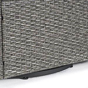 Christopher Knight Home Puerta Outdoor Wicker Swivel Club Chairs with Water Resistant Cushions, 2-Pcs Set, Mix Black / Dark Grey