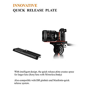 IFOOTAGE Cobra 3 Monopod C180F-P with K5S Fluid Head, Professional Portable Travel Monopod Kit for Canon Nikon Sony Olympus Panasonic DSLR Camera