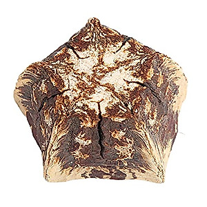 Pssopp Bird Chewing Blocks Toy,Decorative Dried Nut Wood Bird Block Toys Decorative Five Pointed Bird Toy for Bird Supplies Hamsters Totoros Rabbits