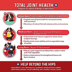 Bernie's Marvelous Mobility - Daily Dog Hip and Joint Supplement - Maintains Overall Well Being & Promotes a Healthy Immune System (90 Count)