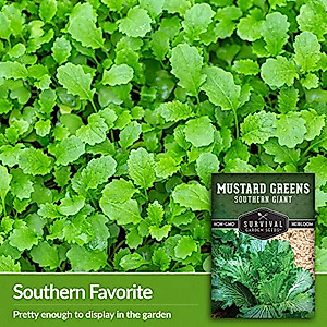 Survival Garden Seeds - Southern Giant Mustard Greens Seed for Planting - Packet with Instructions to Grow Spicy Brassica Juncea Leaves in Your Home Vegetable Garden - Non-GMO Heirloom Variety