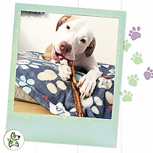 Nature Gnaws Bully Sticks for Dogs - Premium Natural Beef Dental Bones - Long Lasting Dog Chew Treats for Aggressive Chewers - Rawhide Free - Mixed Thickness 11-12"