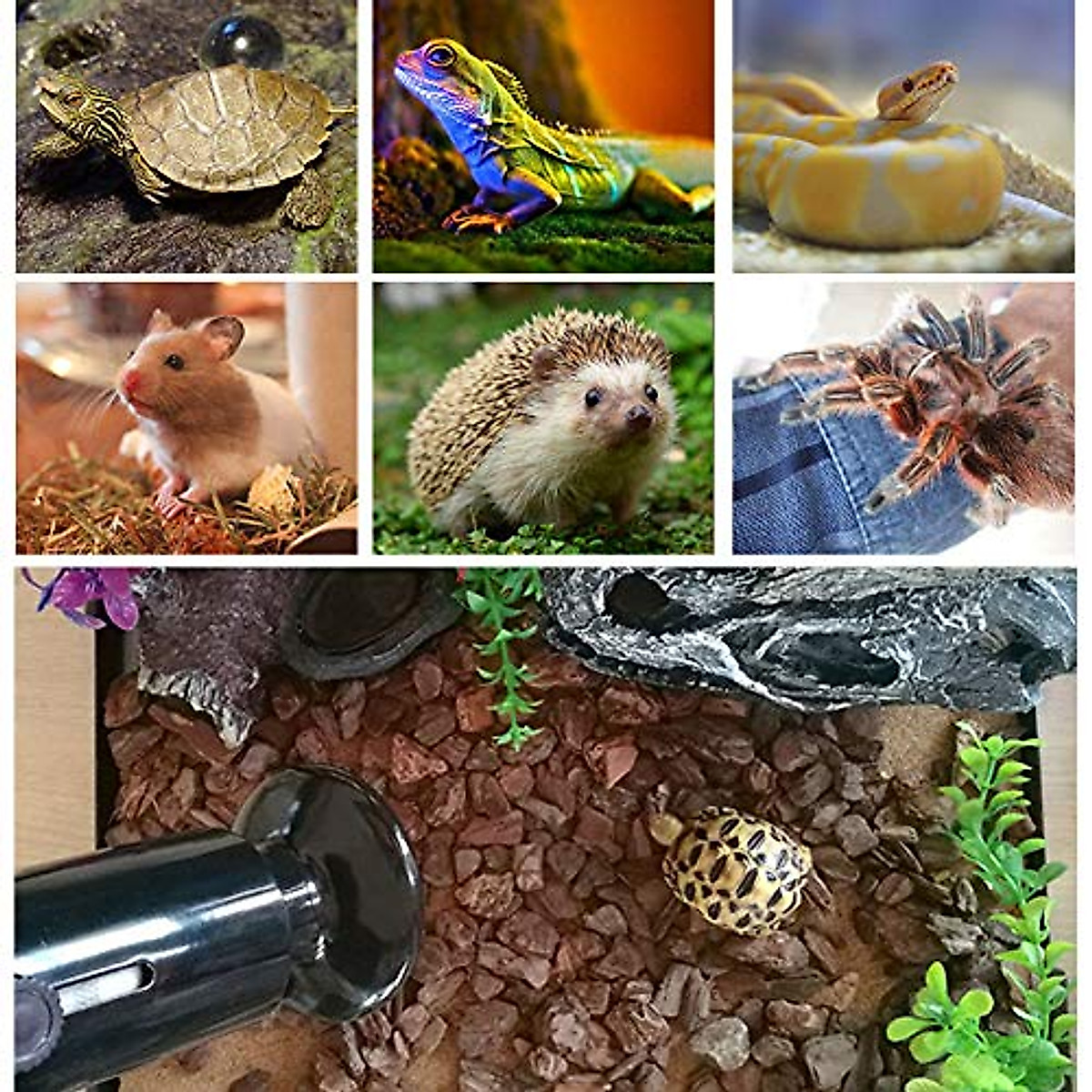 Lucky Farm Reptile Heating Lamp Bulb 2pcs Amphibian Ceramic Infrared Heat Lamp Emitter with no Light for Brooder Chicken Coop ,Hedgehog, Iguana Lizard Bearded Dragon Turtle Snake(Black, 100W)