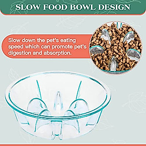 BINGPET Small Dog Bowls - Water and Food Bowl for Cat Dog - Slow Feeder Pet Bowl, Automatic Water Dispenser Detachable Feeder Bowls for Puppies and Cats