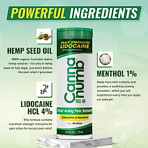 Cannanumb Hemp Oil Pain Relief Roll-On with Lidocaine | Fast Acting Pain Relief with Arnica + Boswellia + Menthol - Ideal for Arthritis, Sciatica, Strained Muscles, Joints, Backache & Bruises