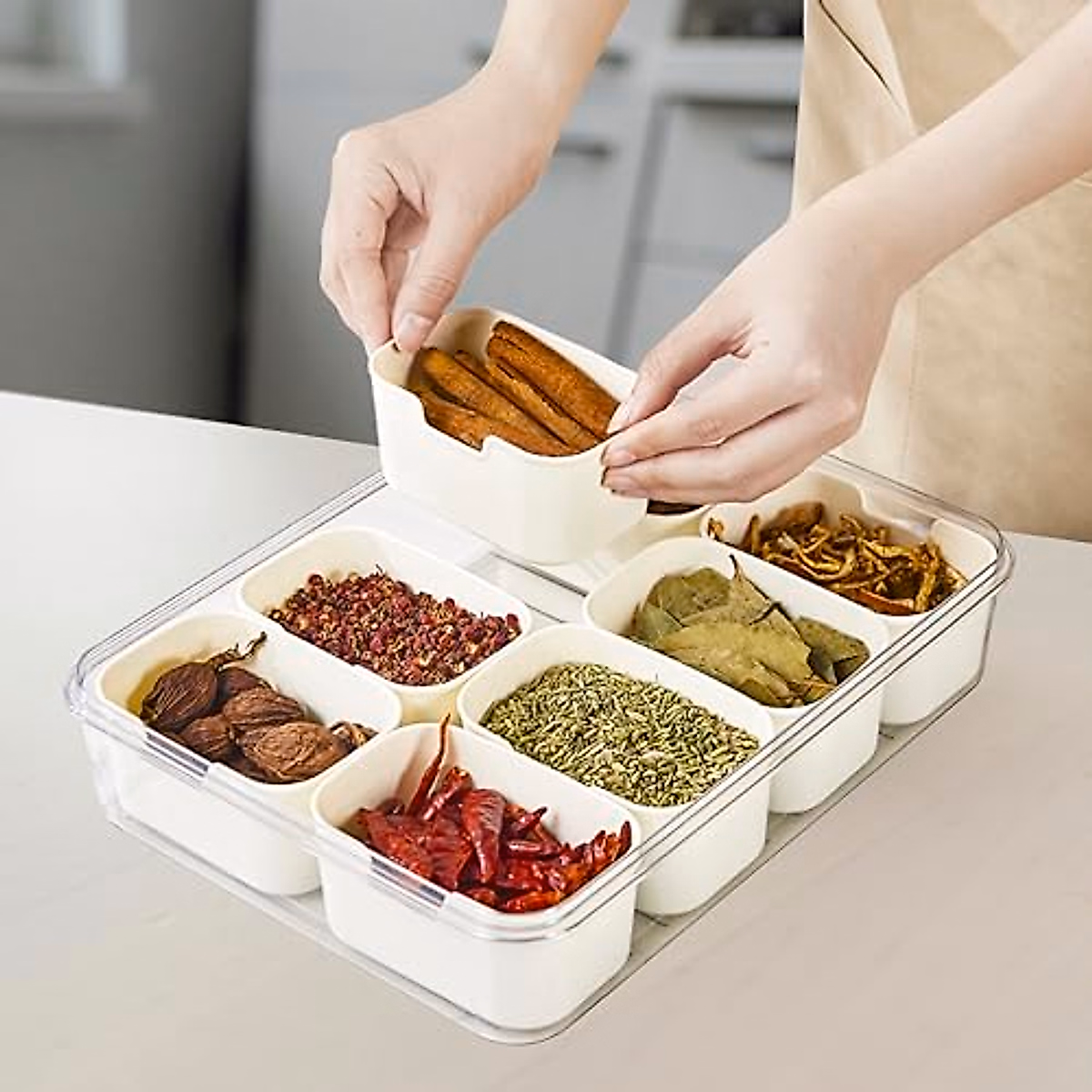 BCPONT Divided Serving Tray with Lid and Handle, Fruit Snack Serving box Vegetable Storage with 8 Compartments Snackle Box Charcuterie Container Fridge Organizer