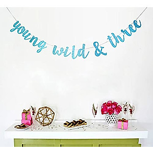 Young Wild and Three Banner -Blue Glitter Happy 3rd Birthday Party Decoration Bunting Photo Props，Children's Birthday Party Supplies