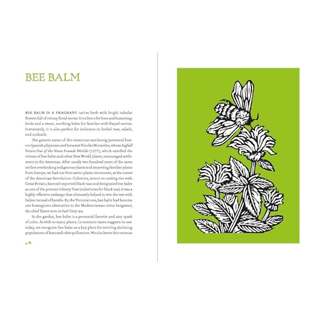 The Heirloom Gardener: Traditional Plants and Skills for the Modern World