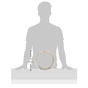 Pentair 79110600 Stainless Steel Face Ring Assembly Replacement Pool and Spa Light
