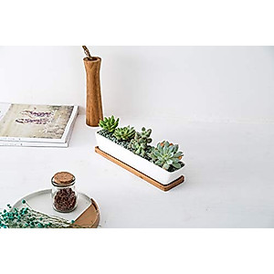 Kipokalor 11.1x2.36x1.77inch Long Rectangular Modern Minimalist White Ceramic Succulent Planter Pot with Saucer for Office,Desk,Window.