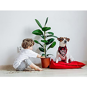 YHTWIN Funny Cute Red Plaid Cotton Triangle Pet Dog Bandanas, Baby's Guard Security Dog Scarf Accessories Props Decorations, Dog Birthday Party Photograph Props for Pet Lovers Owner Gift