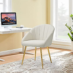 DRAGON GATE Sherpa Upholstered Dining Chairs Set of 2, Boucle Fleece Side Chair, Mid-Back Modern Accent Chair Armchair with Gold Legs for Living Room, Dining Room, Bedroom, Vanity Room, White