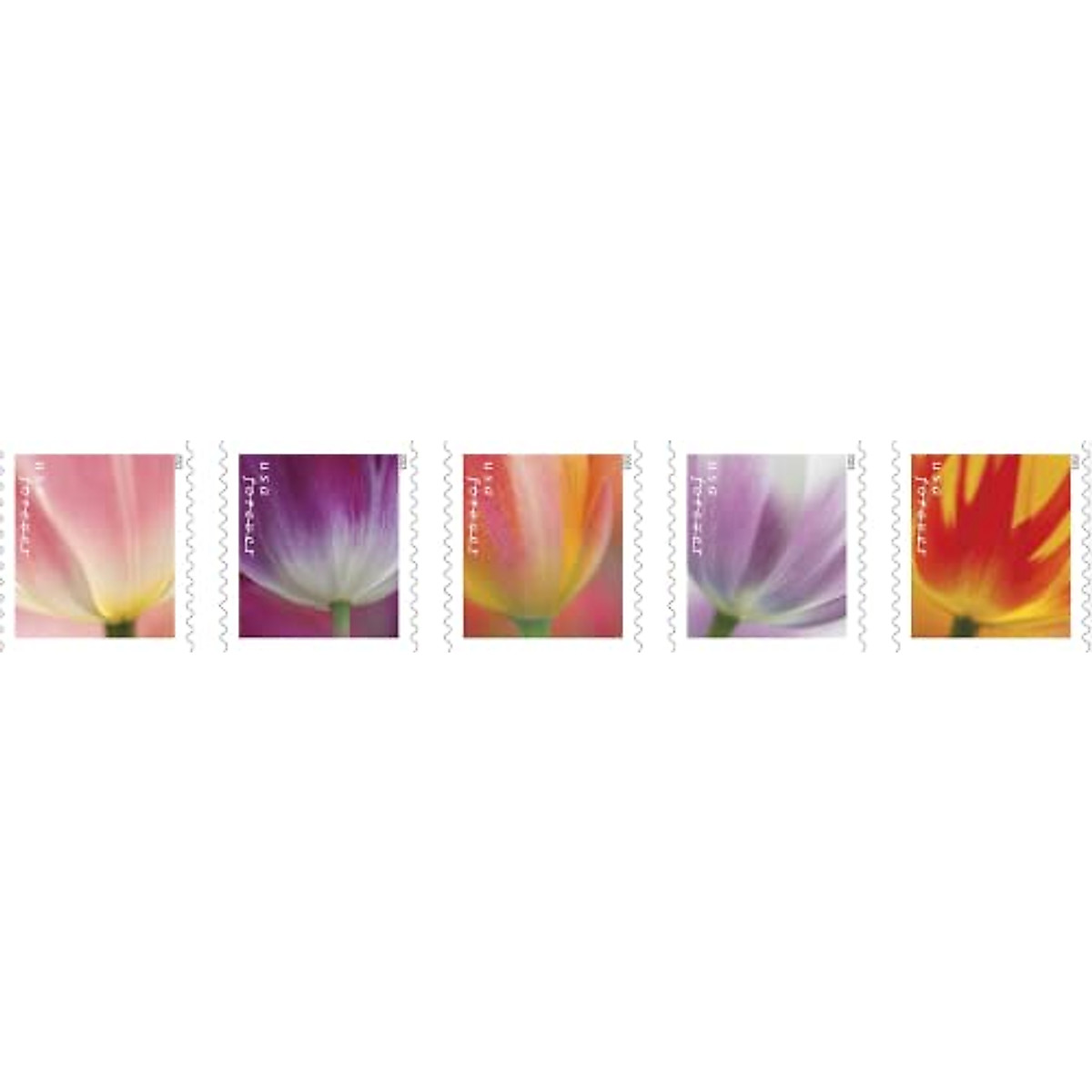 USPS 2023 Tulip Blossom Forever First Class Postage Stamps (20 Count Booklet)