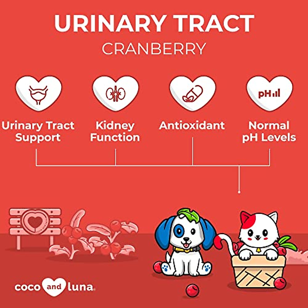 Cranberry for Dogs and Cats - Urinary Tract Support, Cat UTI, Bladder Support, Dog UTI, Bladder Stones and Incontinence Support