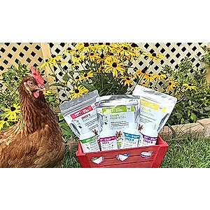 Chick'n Pulmo for Respiratory Support