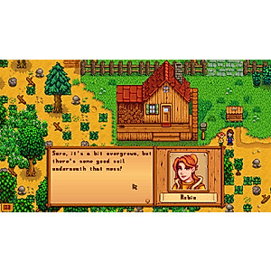 Stardew Valley [Nintendo Switch - Standard Edition]