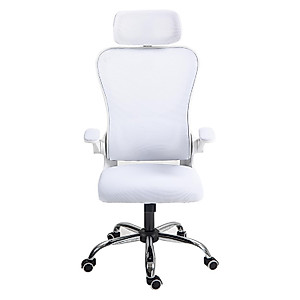 Panana Ergonomic Office Chair High Back Mesh Back Adjustable Headrest Flip-up Padded Armrest Swivel Rolling Desk Chair (White)