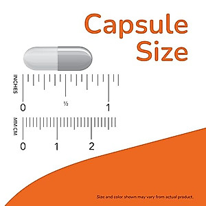 NOW Foods Supplements, L-Carnosine (Beta-Alanyl-L-Histidine) 500 mg, Healthy Aging, 100 Veg Capsules