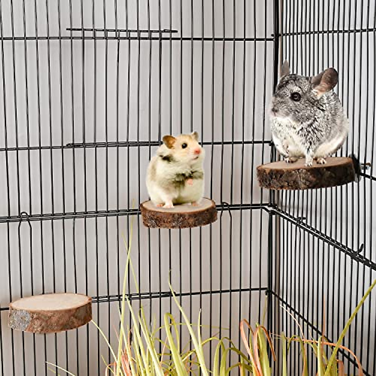 9 PCS Bird Perches Stand Toy, Natural Wood Parrot Perch Stand Bird Cage Branches Platform Accessories for Parakeets Cockatiels Conures Macaws Finches Love Birds