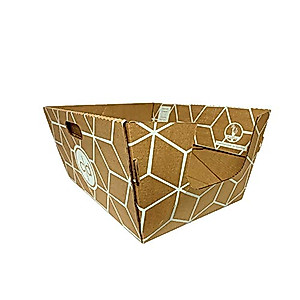 Cats Desire Disposable Litter Boxes 10 Trays-8.5 inches Tall Each Tray