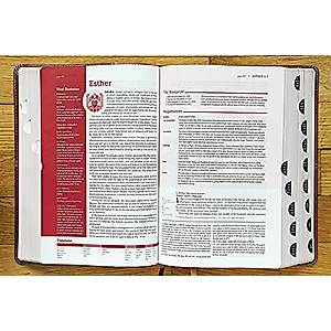 NIV, Life Application Study Bible, Third Edition, Leathersoft, Brown, Red Letter, Thumb Indexed
