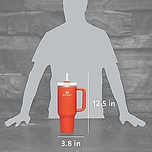 Stanley Quencher H2.0 FlowState Stainless Steel Vacuum Insulated Tumbler with Lid and Straw for Water, Iced Tea or Coffee, Smoothie and More, Tigerlily, 40 oz