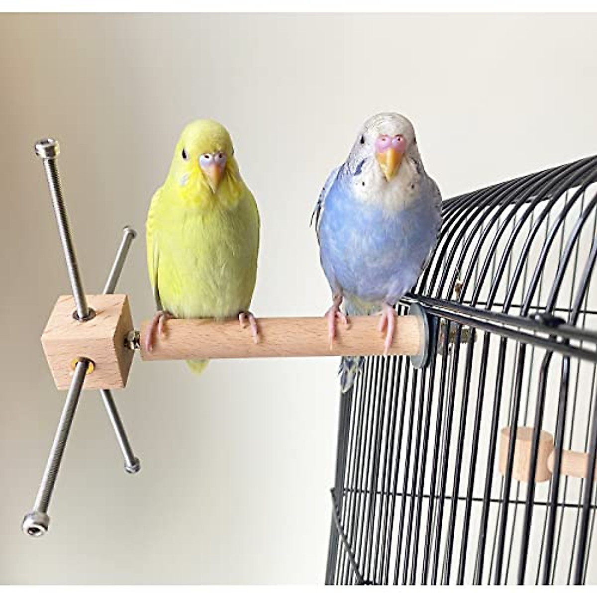 Guanlant Bird Food Holder for Cage, Bird Feeders Stand, Rotating Bird Toys with Perch, Parrot Fruits and Veggies Holder, Birds Foraging Toy, Bird Treat Sticks for Cockatiel Parakeet Conure Eclectus