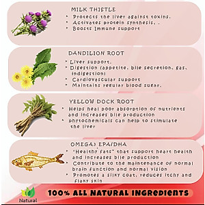 Milk Thistle for Dogs - 180 Chewable Tablets - Canine Liver and Kidney Support Supplement for Dogs - Detox for Dogs - Liver Supplement for Dogs