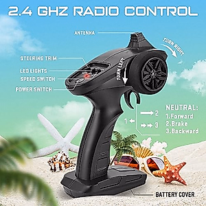 ALPHAREV RC Boat with Case R308 20+ MPH Fast Remote Control Boat for Pools and Lakes, 2.4 GHZ RC Boats for Adults and Kids with Rechargeable Battery