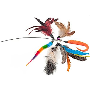 Fashion's Talk Feather Wire Wands Kitten Toys Worm Teaser Wand Cat Toy with Replacement Pack