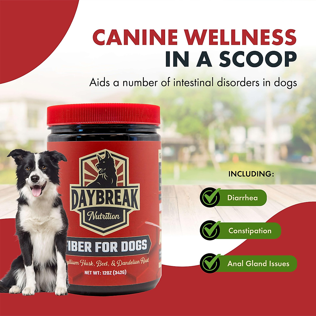 Daybreak Nutrition Fiber for Dogs Psyllium Husk, Beet Root, Dandelion Root, and Prebiotics to Aid in Relief from Diarrhea, Constipation, Anal Gland Issues, and Scoots