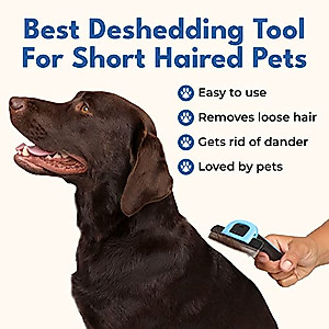 Freshly Bailey Deshedding Brush for Short Haired Dogs & Cats - Cat and Dog Brush for Shedding Short Hair - Highly Effective Deshedder Grooming Comb