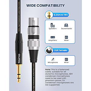 tisino XLR Female to 1/4 Inch (6.35mm) TRS Jack Lead Balanced Signal Interconnect Cable XLR to Quarter inch Patch Cable - 3.3 Feet