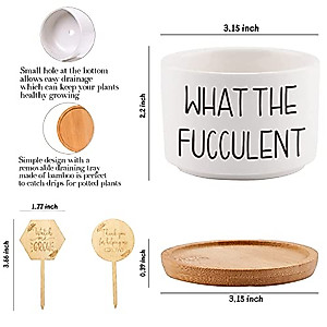 Succulent Pots 6 Pack, 3.15” Ceramic Funny Succulent Planters with Drainage and Bamboo Tray, Small Plant Pots with Plant Labels for Indoor Outdoor Plant, Birthday Gifts for Women - Plants Not Included