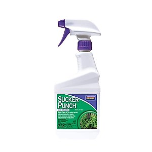 Bonide RTU Sucker Punch, 16 oz (2 Pack)