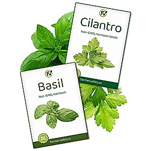 Medicinal and Tea Herb Seeds Variety Pack for Planting Indoors, Outdoors and Hydroponically - USA Grown, Heirloom, Non GMO Herbal Garden Seeds, Including Basil and Cilantro