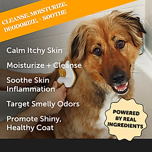 Pet Honesty Dog Allergy Relief Shampoo for Dogs and Cats - Dog Skin and Coat Supplement, Itch Relief for Dogs, Moisturizing and Hydrating Coconut Oil + Vitamin E, Deodorizing Coat (16 oz)