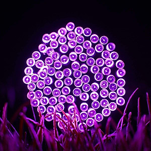 REICUA, Solar Garden Lights, Outdoor String Lights, Waterproof 72ft 22m 200 LED 8 Twinkling Modes, Decorative Lighting Fairy Lights for Home, Gazebo, Patio, Lawn, Wedding Ornament (Purple)
