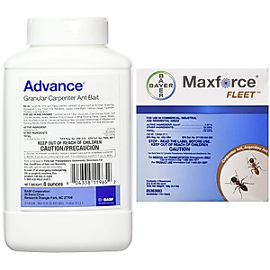 BASF Advance Carpenter Ant Bait (8oz, White) and Bayer Max Force Fleet Ant Gel (Light Yellow)