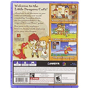 Little Dragons Cafe - PlayStation 4