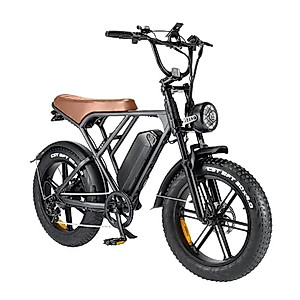 BreezeRider 20" Fat Tire Electric Bike for Adults 750W Brushless Motor 48V 15AH Removable Battery Ebike Commuter Electric Mountain Bike 7-Speed Dual Suspension
